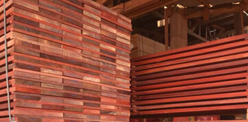 Tropical Forest Products | Hardwood, Softwood, Exotic Wood Supplier